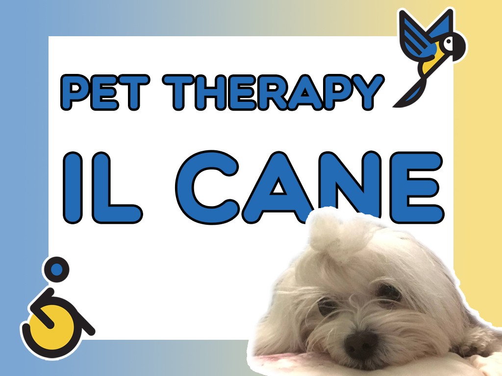 Pet therapy - il Cane (seconda parte) - ARA Disabilità